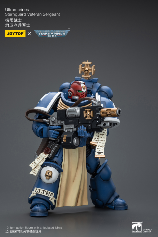 WARHAMMER Ultramarines Sternguard Veteran Sergeant (Reissue) - Hobby ...