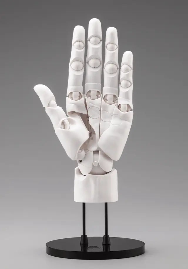 ARTIST SUPPORT ITEM HAND MODEL MEN’S/L WHITE - Hobby Bee Canada